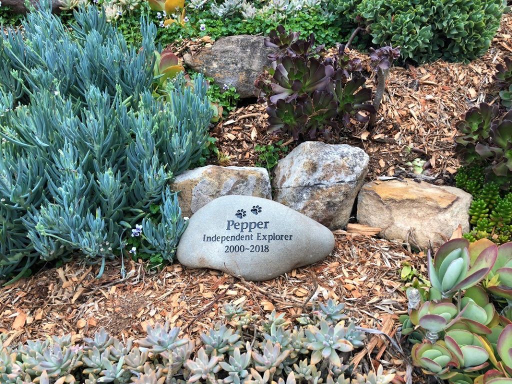 Tumbled River Stone (+token urn) – The Sunshine Coast Pet Crematorium